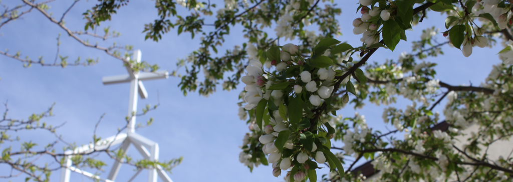 I'm New - Becker Baptist Church - Becker, MN
